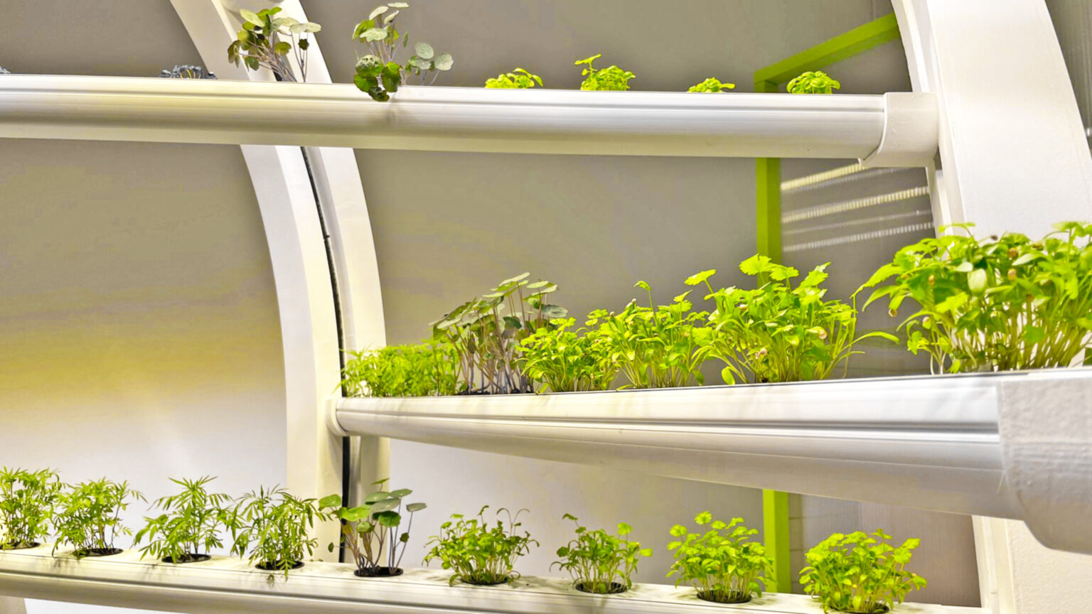 Projects - Vertical Farm Institute