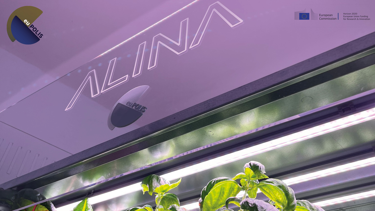 Home - Vertical Farm Institute