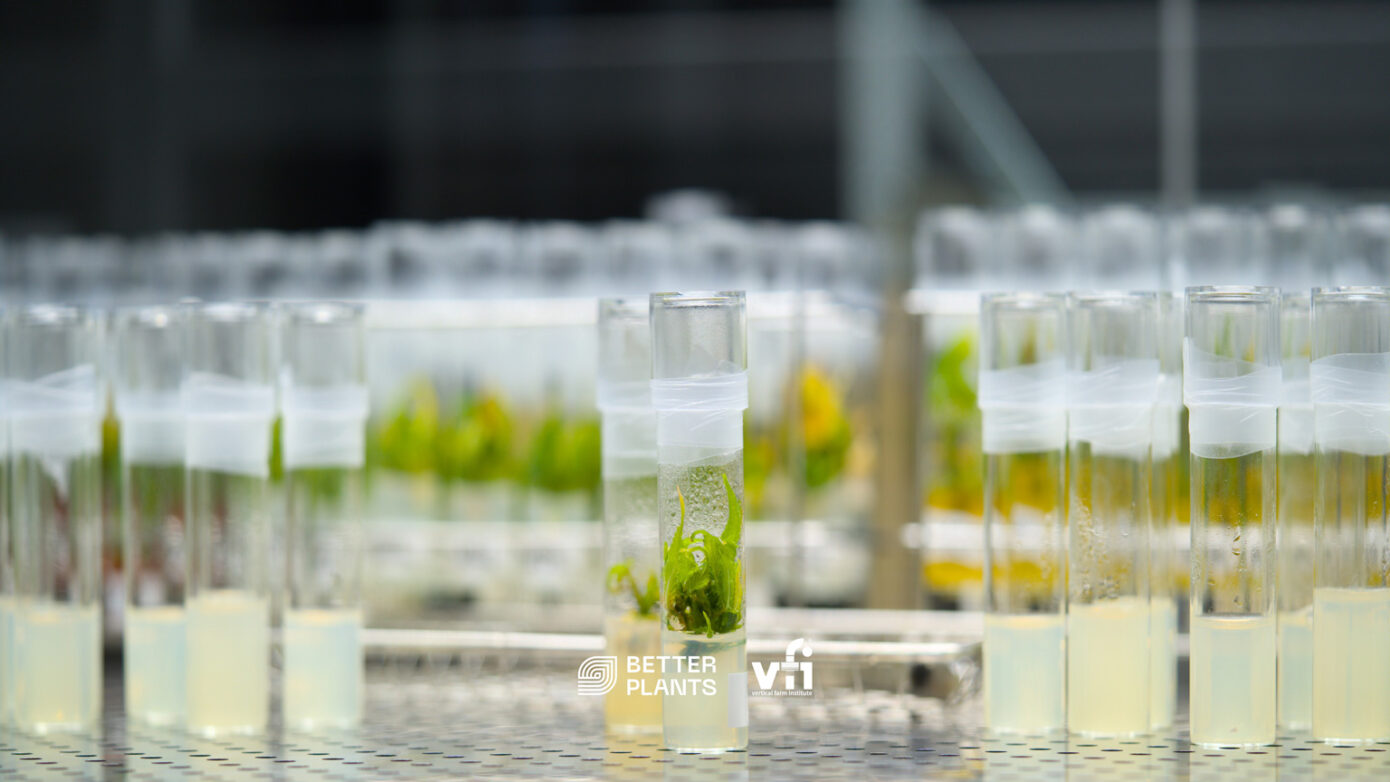 In-Vitro Production - Vertical Farm Institute
